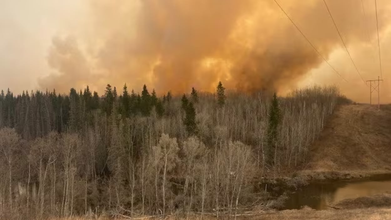 Des incendies de forêt dans l’ouest de la Saskatchewan menacent ...