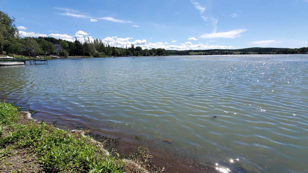 Les embarcations motorisées pourraient être interdites sur le lac du ...