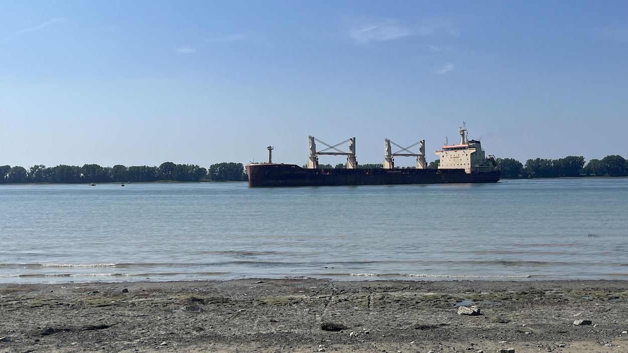 Le navire Federal Yamaska est toujours coincé à Verchères | Radio-Canada