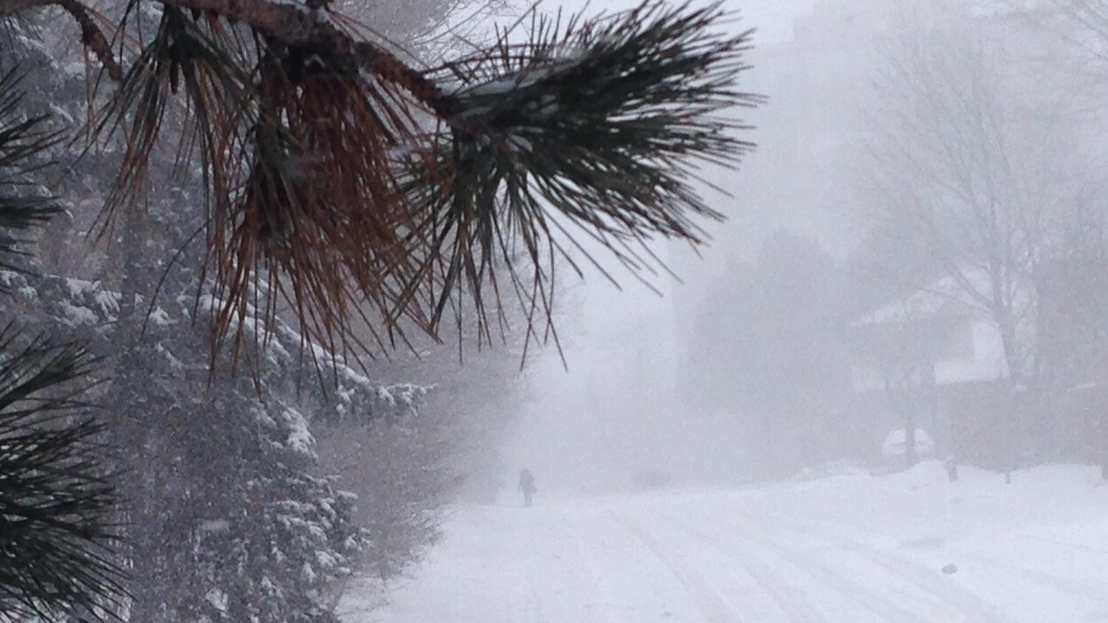 Fortes chutes de neige et visibilité presque nulle dans la région de ...
