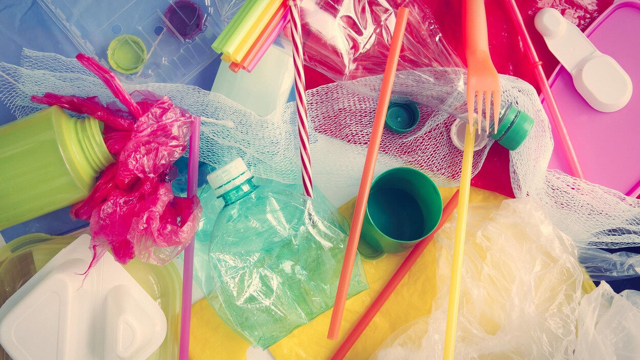 La fin du plastique à usage unique laisse un goût mi-figue mi-raisin ...