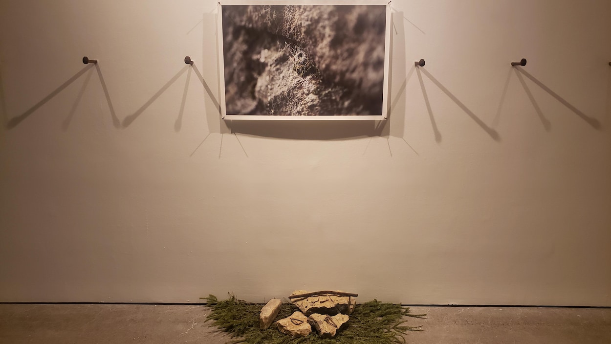 Vivre le territoire à travers l’art | Radio-Canada