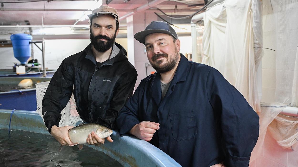 Opercule : une ferme d’aquaculture en plein cœur de Montréal | Radio-Canada