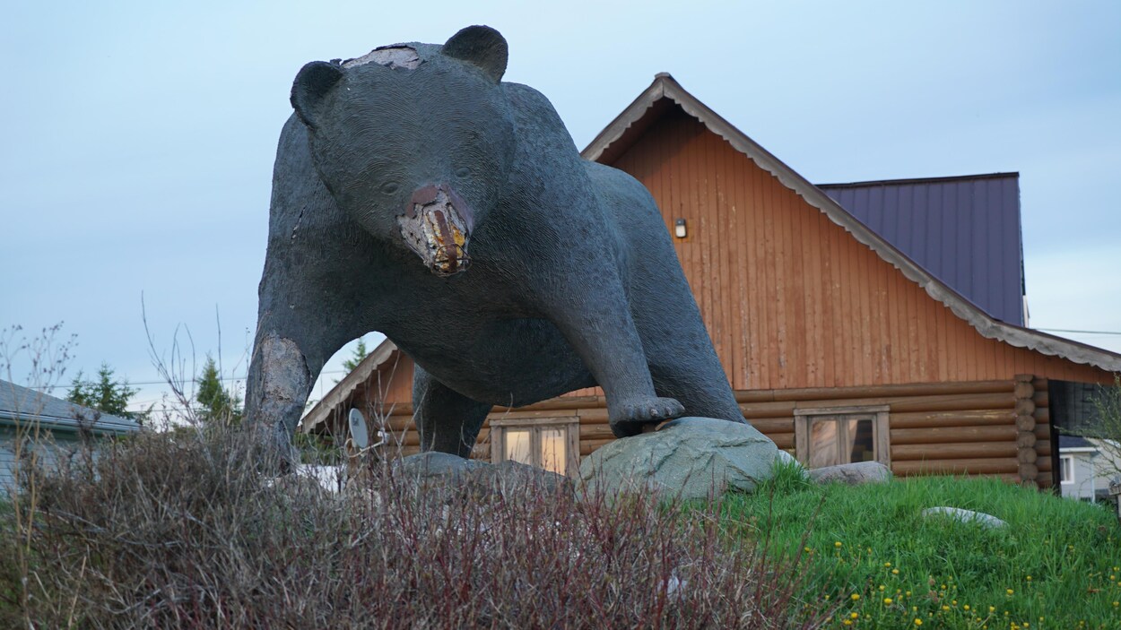 L’ours emblématique de Kapuskasing ira au dépotoir | Le fureteur nord ...