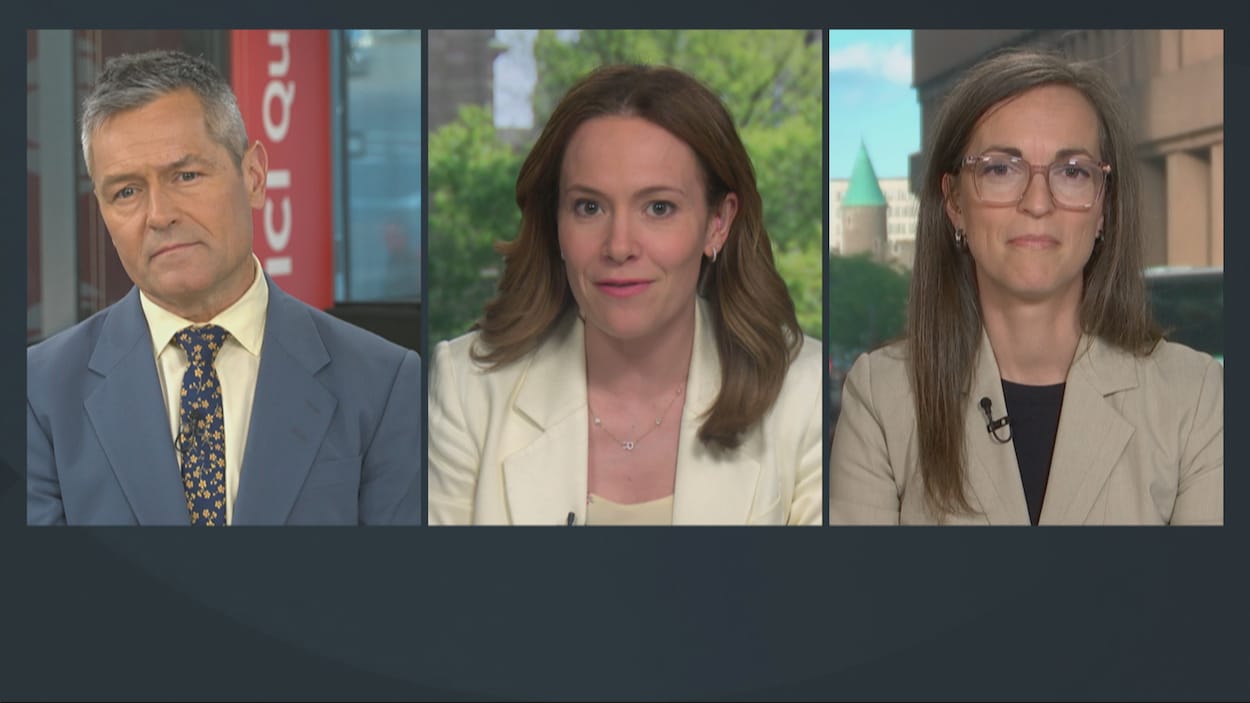 Panel politique : fin de session parlementaire | Radio-Canada