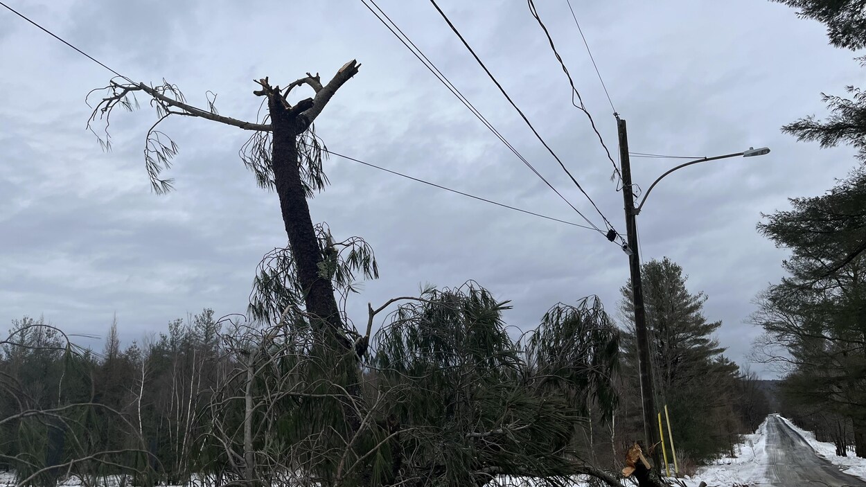 Pannes fréquentes : Hydro-Québec assure avoir commencé des travaux en ...