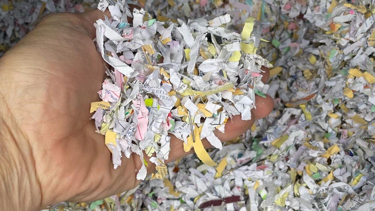 Des milliers de kilomètres à parcourir pour déchiqueter du papier ...