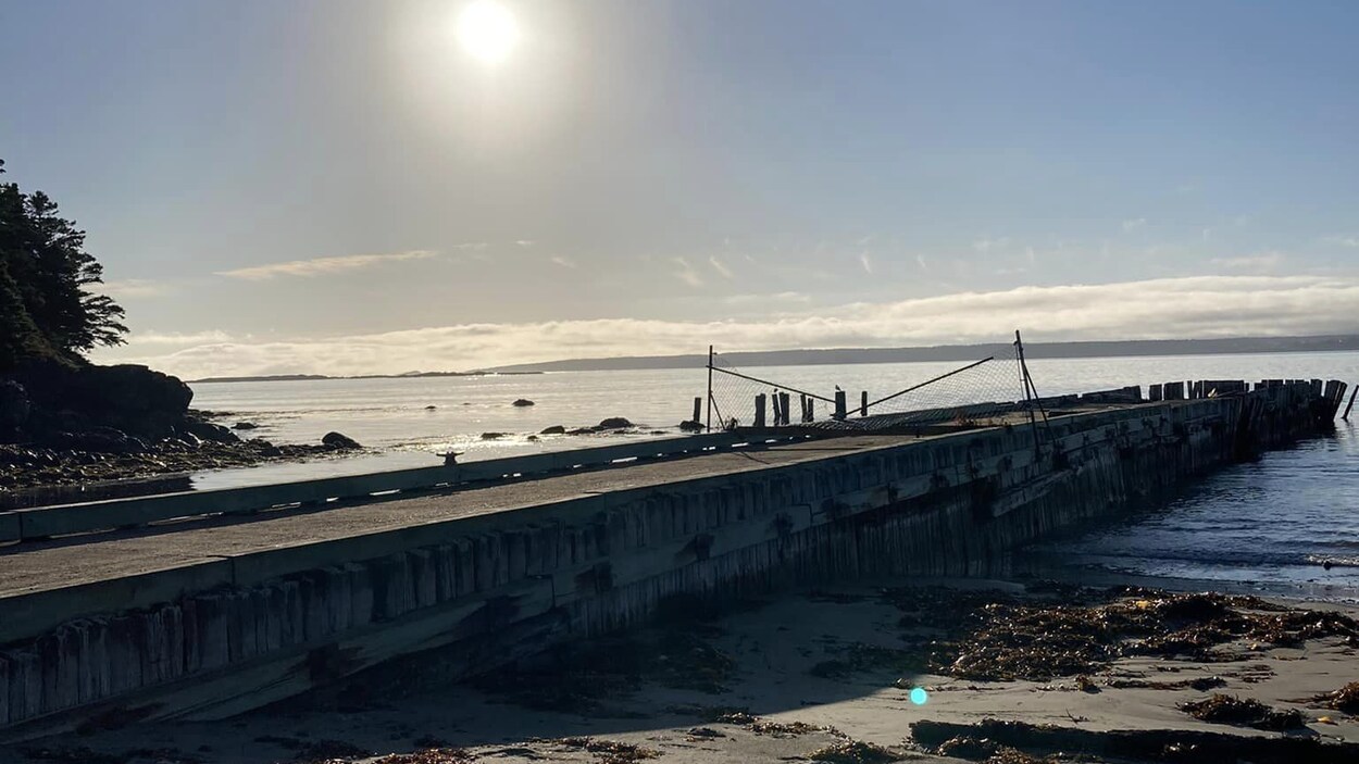 Des citoyens se mobilisent pour sauver le parc provincial de la plage ...