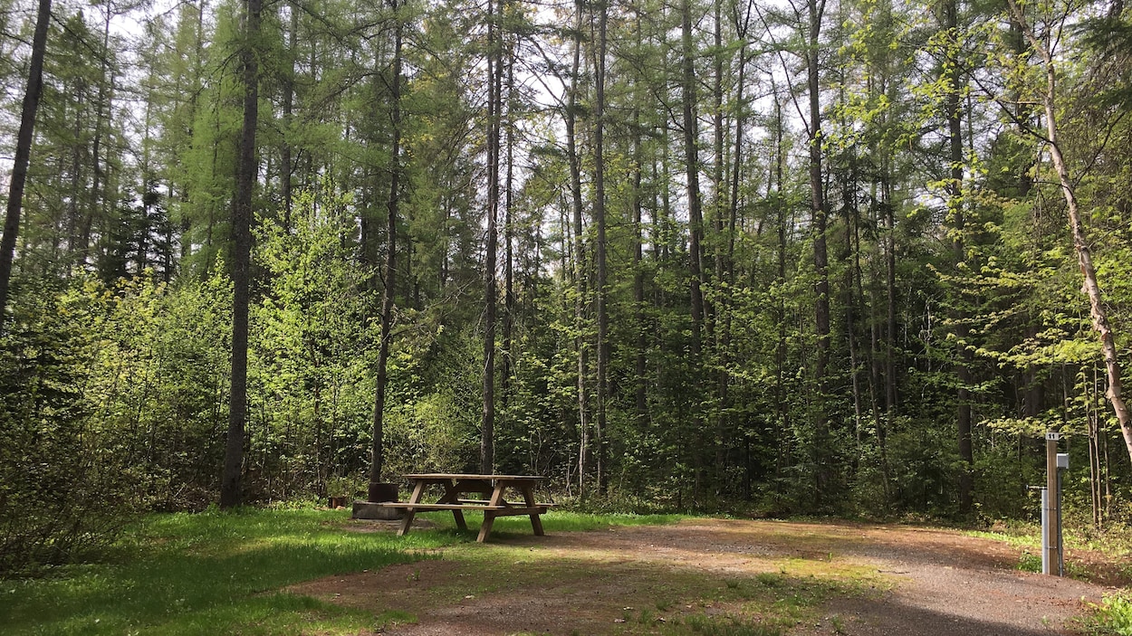 Une saison plus longue au parc provincial de la République | Radio ...