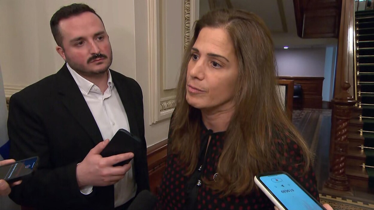 Salarisation des stagiaires : la démission de Pascale Déry réclamée ...