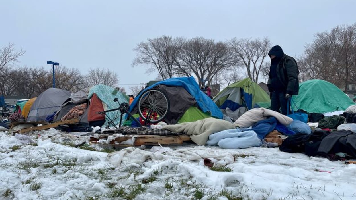 Le recensement des personnes sans-abri à Regina remis en question ...