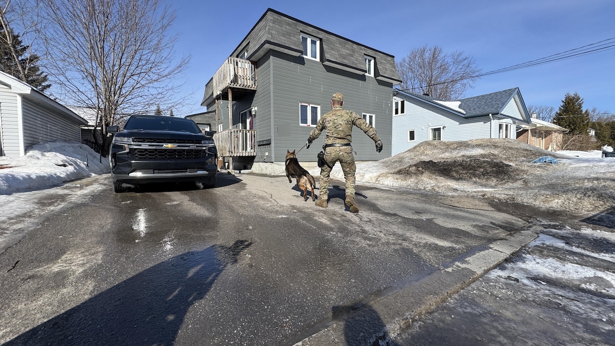 Des perquisitions à Gatineau en lien avec les Hells Angels | Radio-Canada