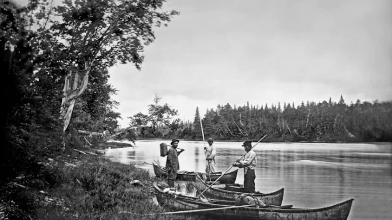 Le Nouveau-Brunswick au 19e siècle sous les yeux de son premier ...