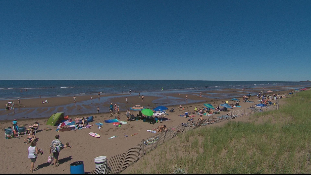 Tourisme : un début de saison difficile à la plage Aboiteau de Cap-Pelé ...