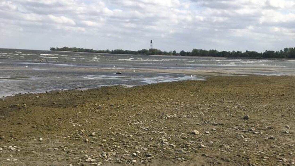 Les niveaux des lacs et cours d’eau sont-ils réellement bas au Manitoba ...