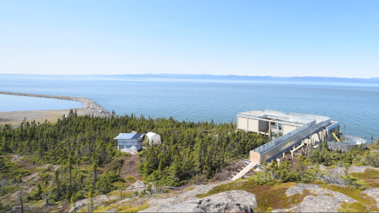 L’aménagement du site d’observation du béluga de Cacouna s’achèvera en ...