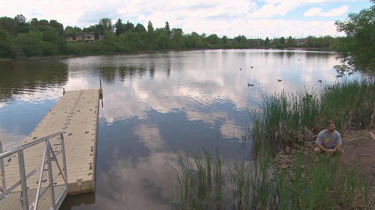Le lac Jones et le lac du parc du Centenaire à Moncton fermés à l’usage ...