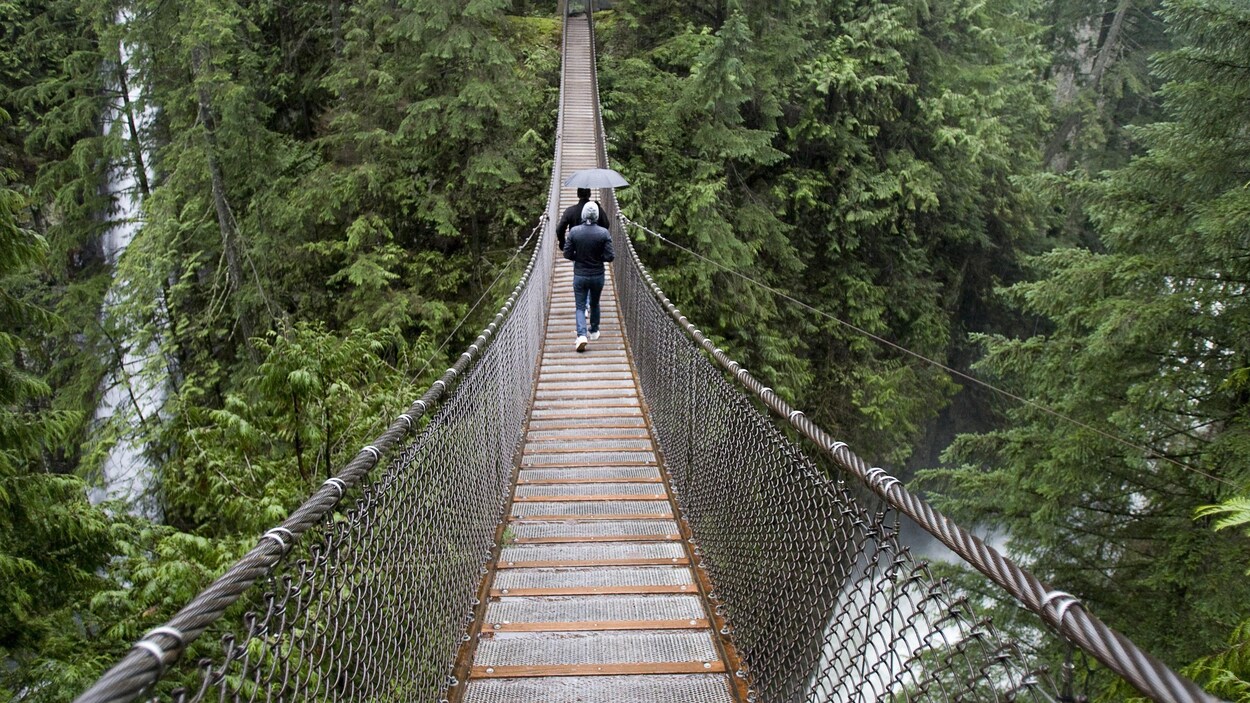 Le pont suspendu dans le parc Lynn Canyon fermé pour deux mois | Radio-Canada