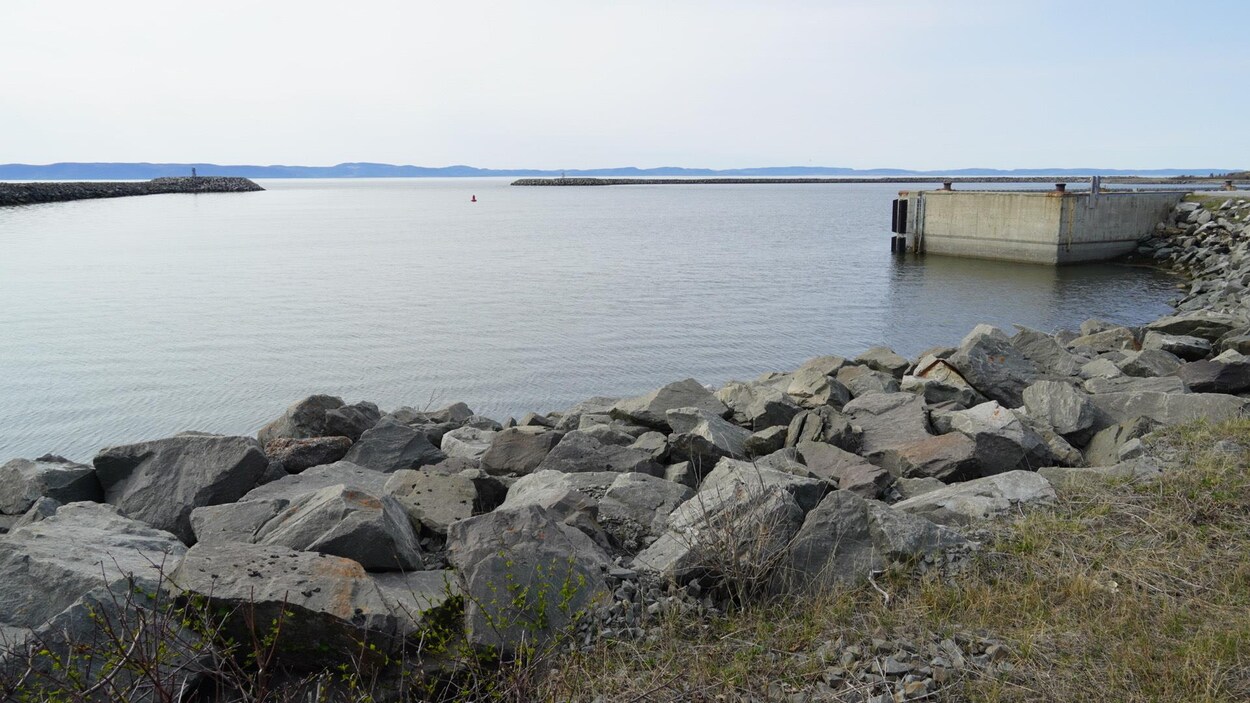 Le dragage au port de Gros-Cacouna pourra se faire même si le parc ...
