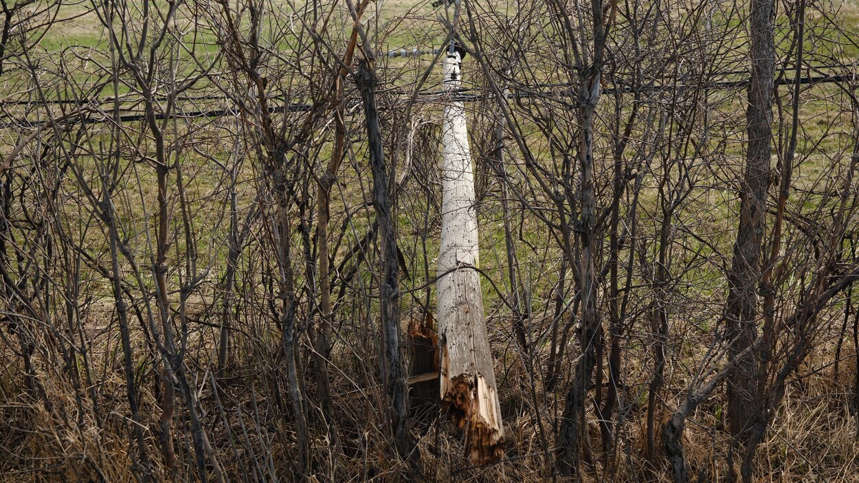 Pannes d’électricité : la situation s’améliore progressivement | Radio ...