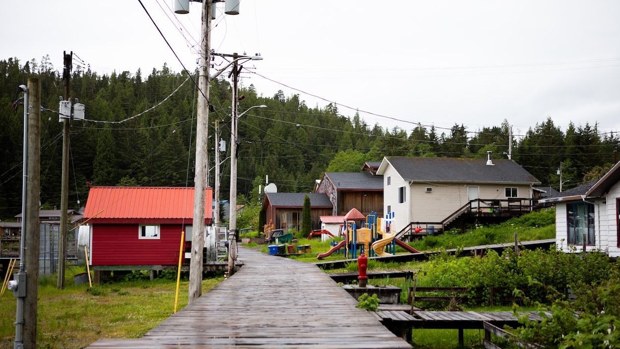 40 ans de lutte pour de l’énergie renouvelable à Hartley Bay | Radio-Canada