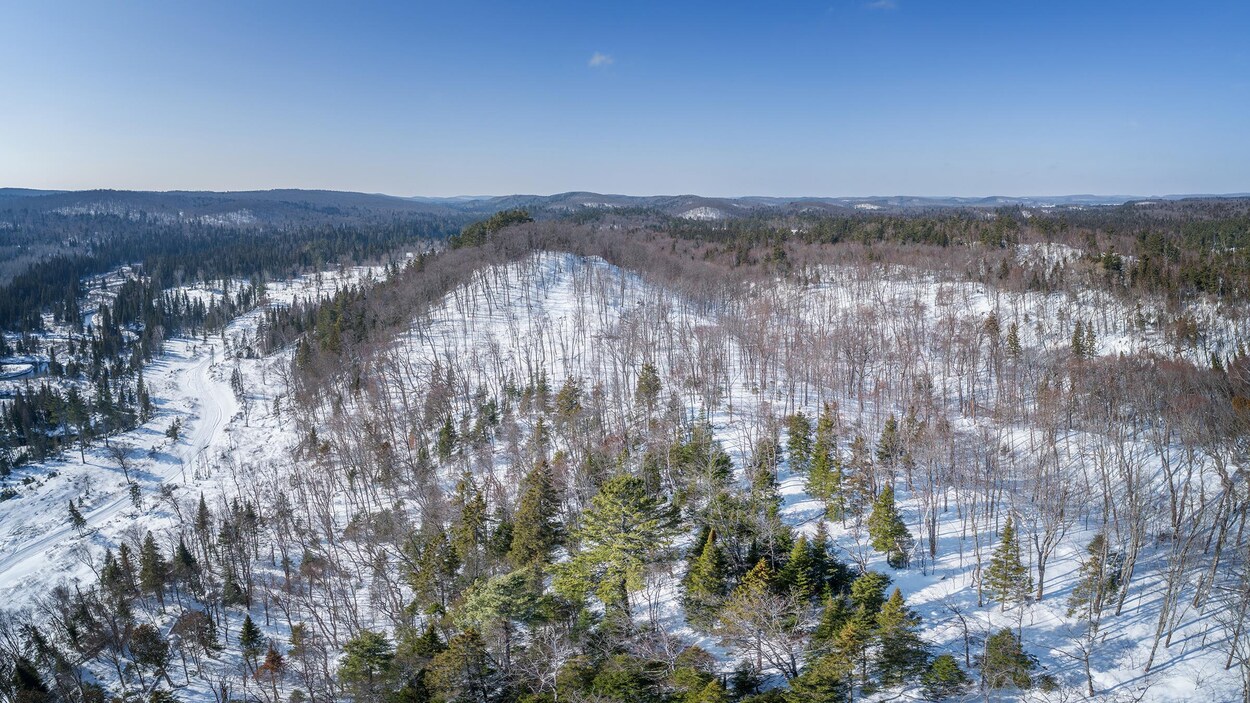 Cercle de feu : les Premières Nations de Matawa veulent avoir leur mot ...