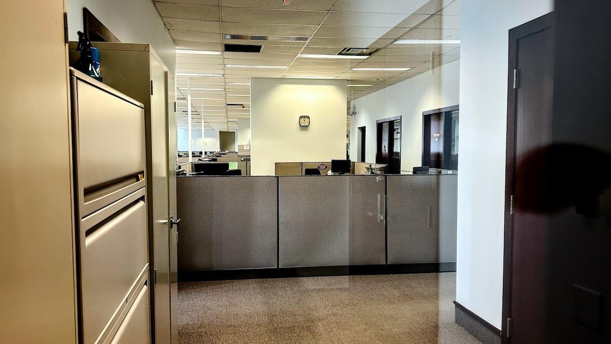 Primus Télécommunications licencie 17 travailleurs à Edmundston | Radio ...