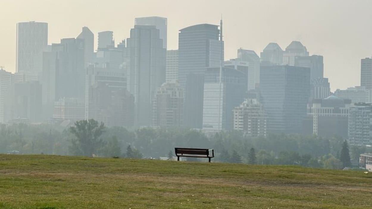 Calgary renonce à son avis d’urgence climatique | En bref | Radio-Canada