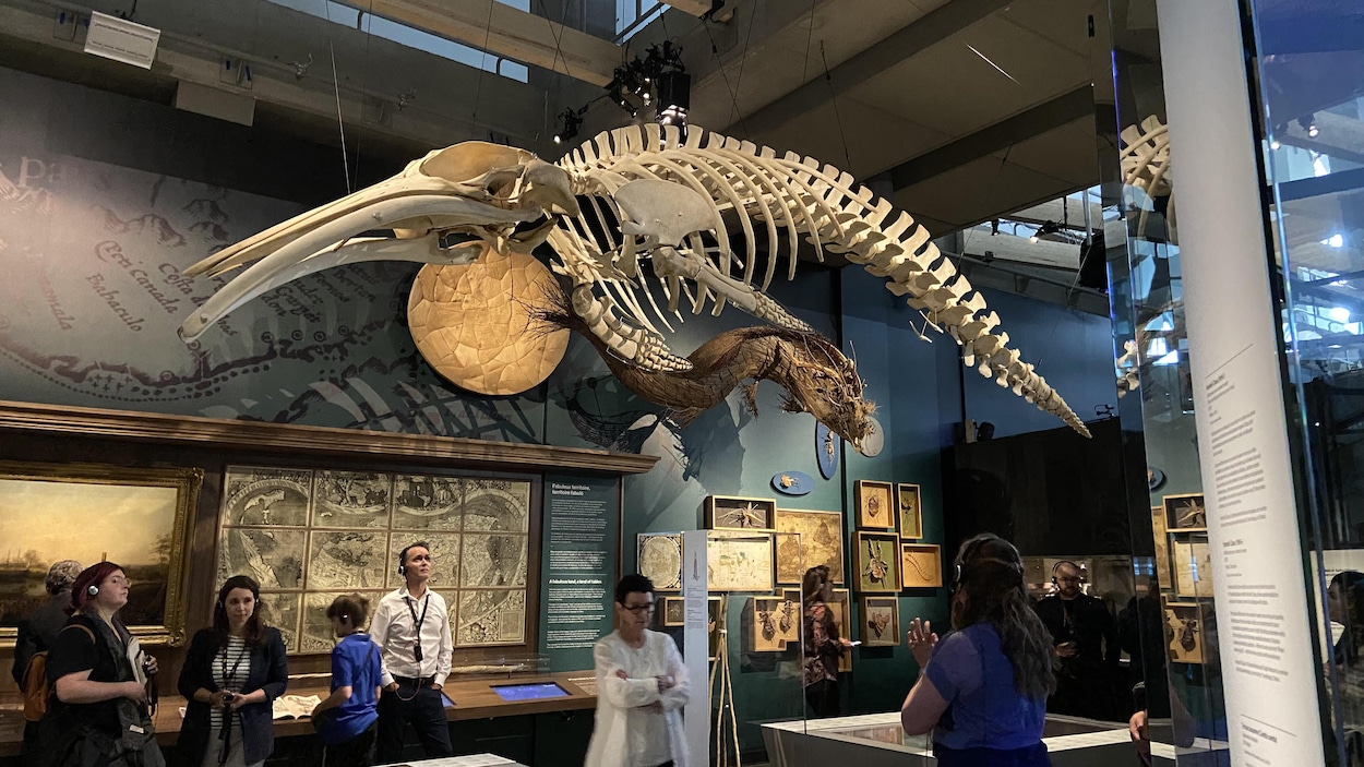 Une exposition identitaire sur le Québec au Musée de la civilisation ...