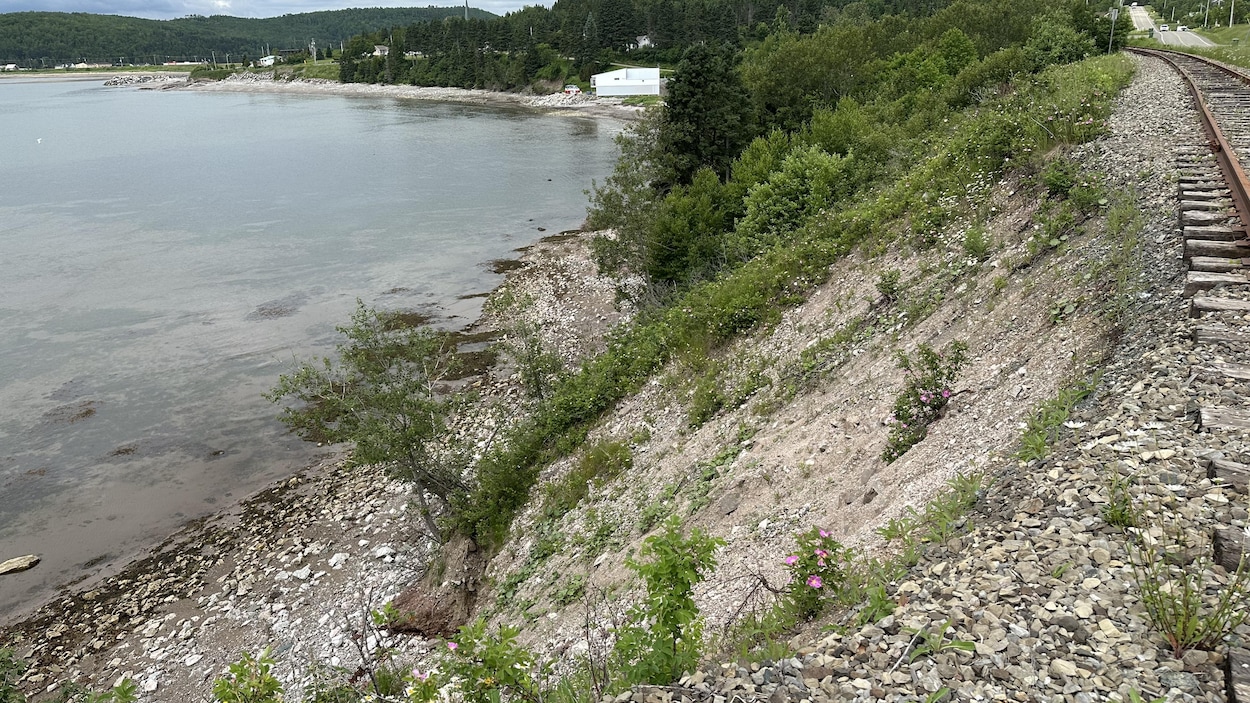 10 M$ d’Ottawa pour le chemin de fer de Port-Daniel–Gascons | Radio-Canada