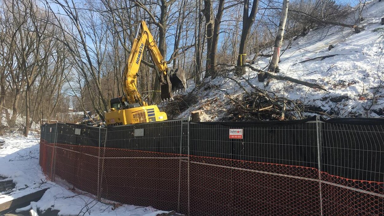 La province coupe des arbres dans un ravin, malgré l’opposition de ...