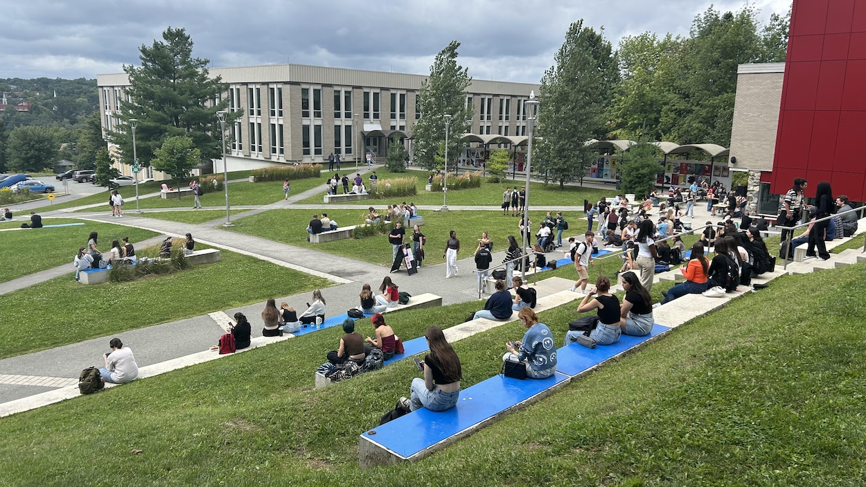Plus d’étudiants, mais aussi plus de précarité au Cégep de Sherbrooke ...