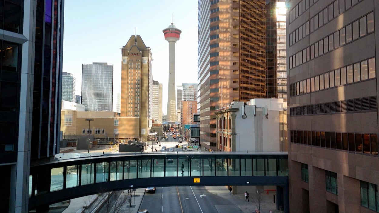 Calgary a augmenté son personnel pour répondre à la croissance ...