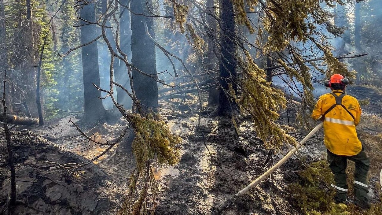 Feux de forêt : un ordre d’évacuation décrété pour la ville de Jasper ...