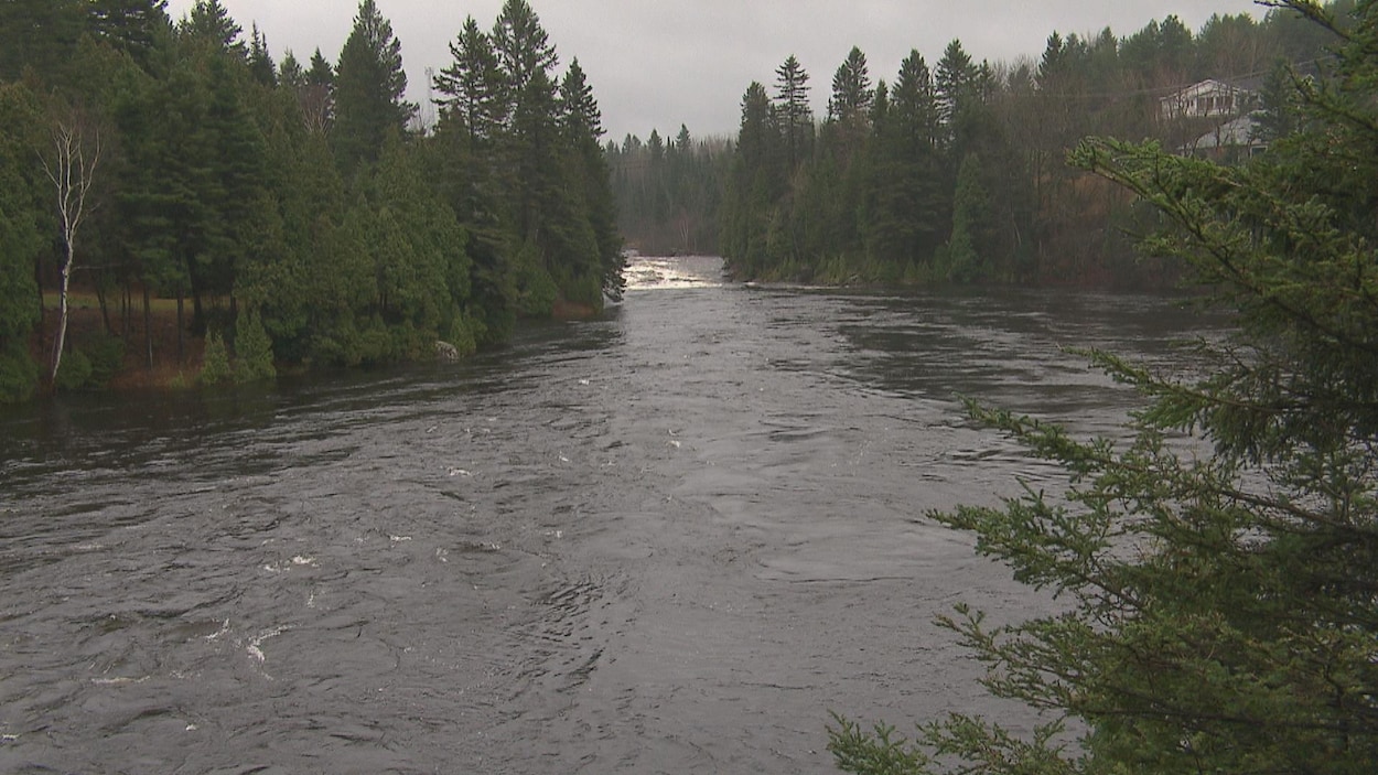 Déversements dans la rivière Shipshaw : un chemin forestier est fermé ...
