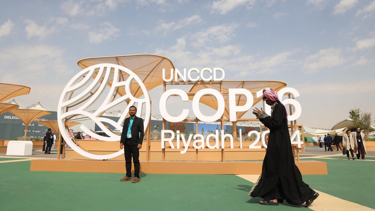 La COP16 à Riyad se conclut sans accord sur la sécheresse | Radio-Canada