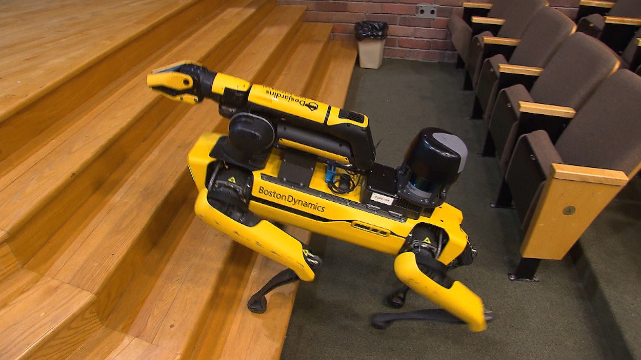 Spot, le chien-robot de Sept-Îles | Radio-Canada