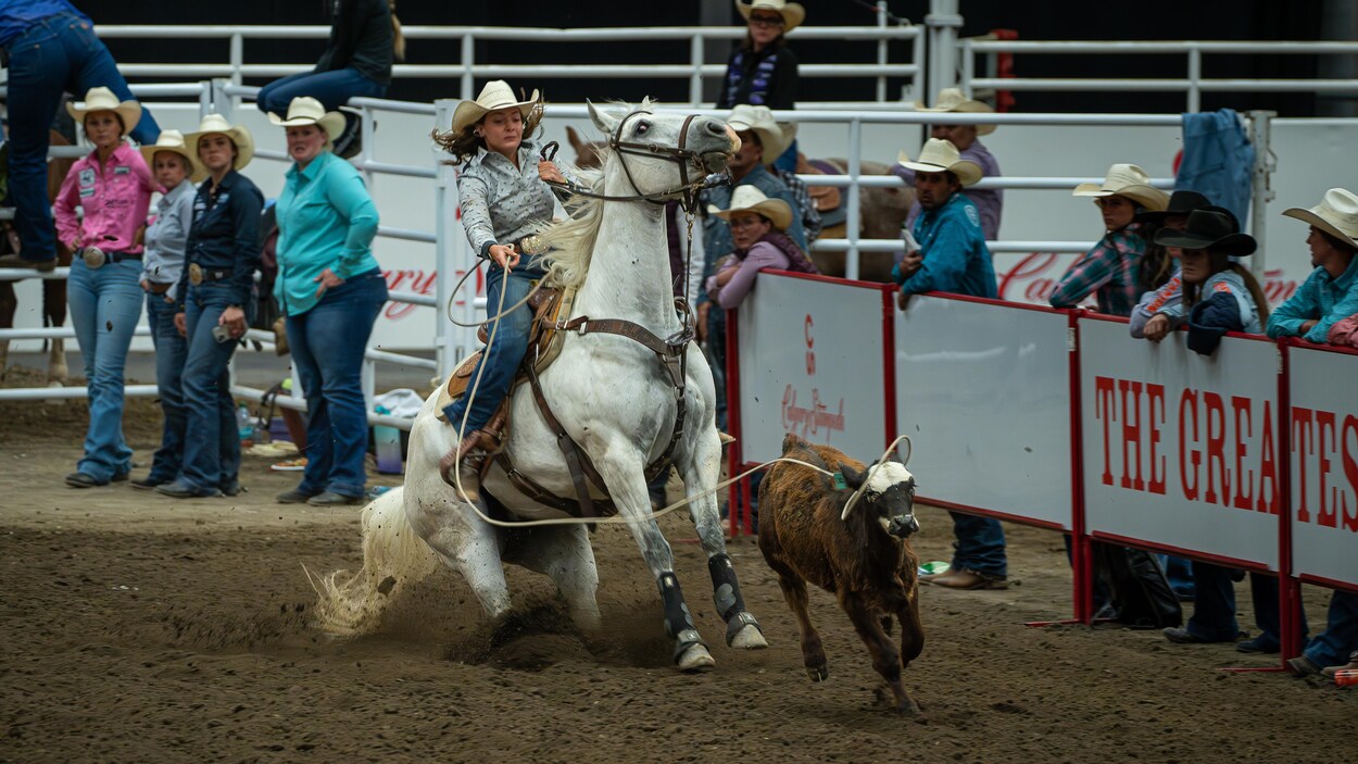 Des compétitrices prendront « le veau par les cornes » au Stampede de ...