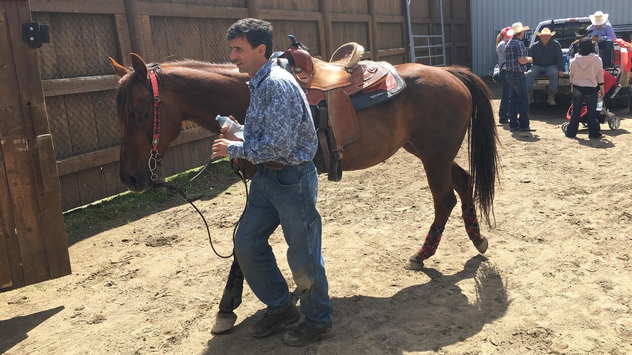 L'élevage des chevaux de rodéo | Radio-Canada.ca