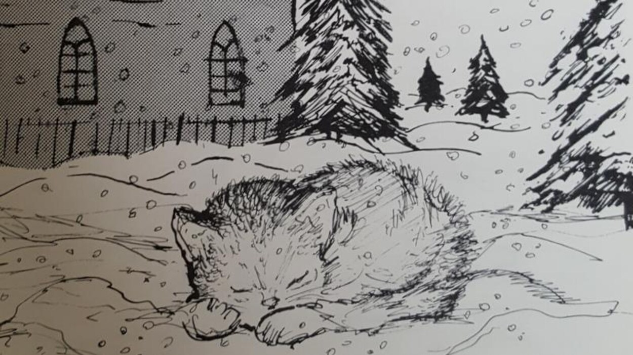 L'histoire du chaton Rou-Rou, un conte de Noël transmis de génération ...