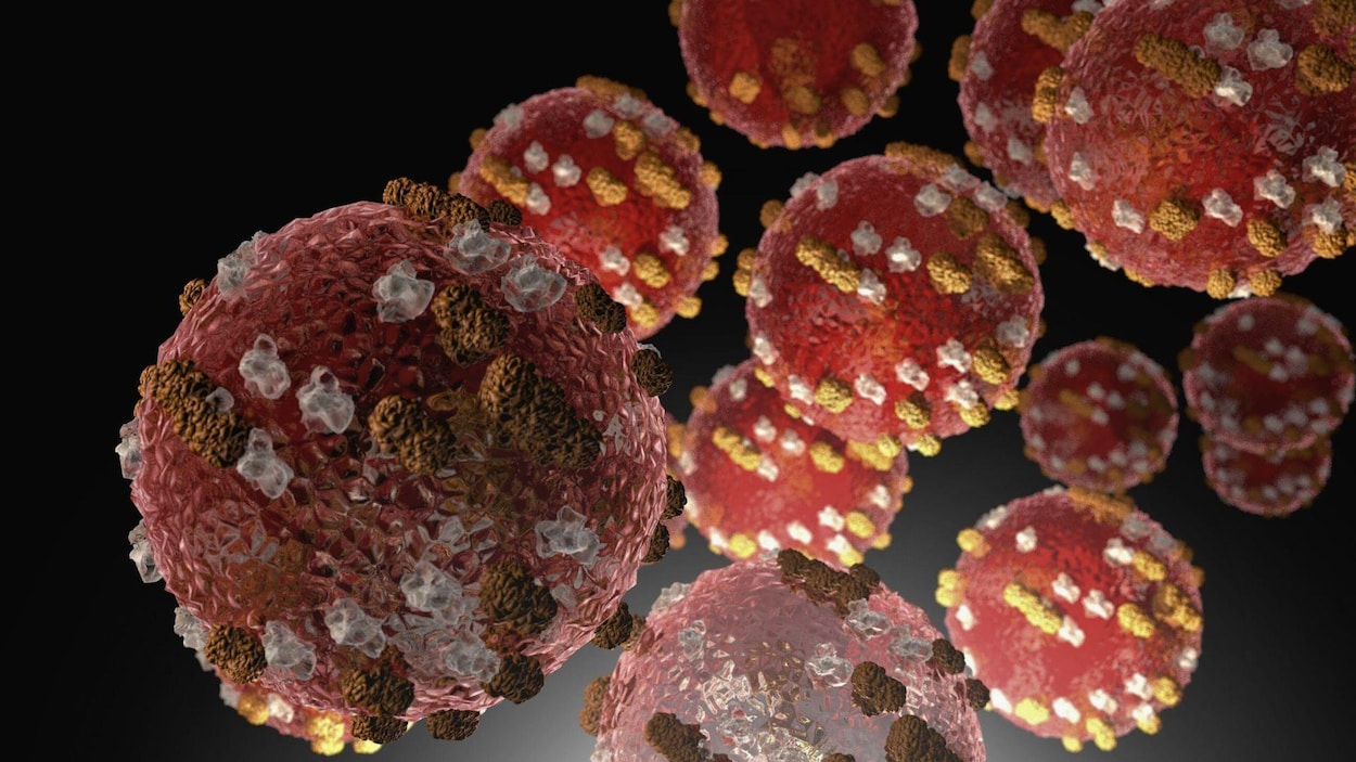 Légère hausse du nombre de cas de rougeole en Ontario; trois nouvelles ...