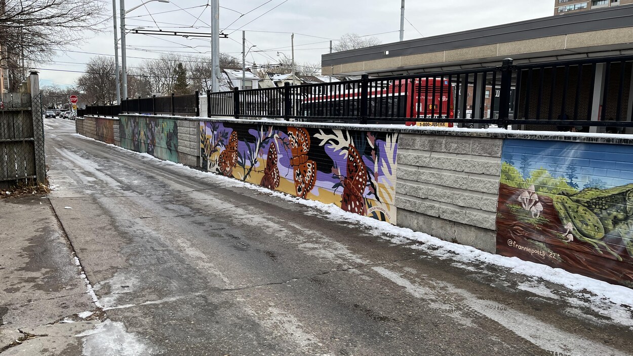 La renaissance des ruelles de Toronto | Radio-Canada