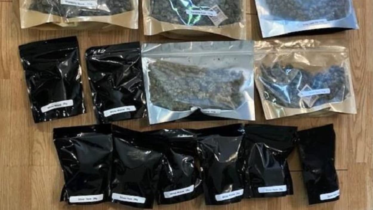 Un couple arrêté pour trafic de drogues à Sherbrooke | Radio-Canada