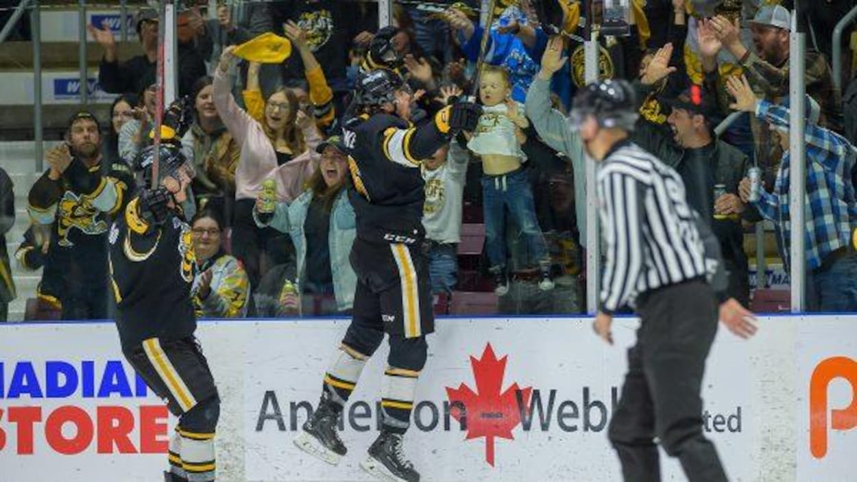OHL : le Sting de Sarnia fait sensation et suscite de l’espoir chez ses ...