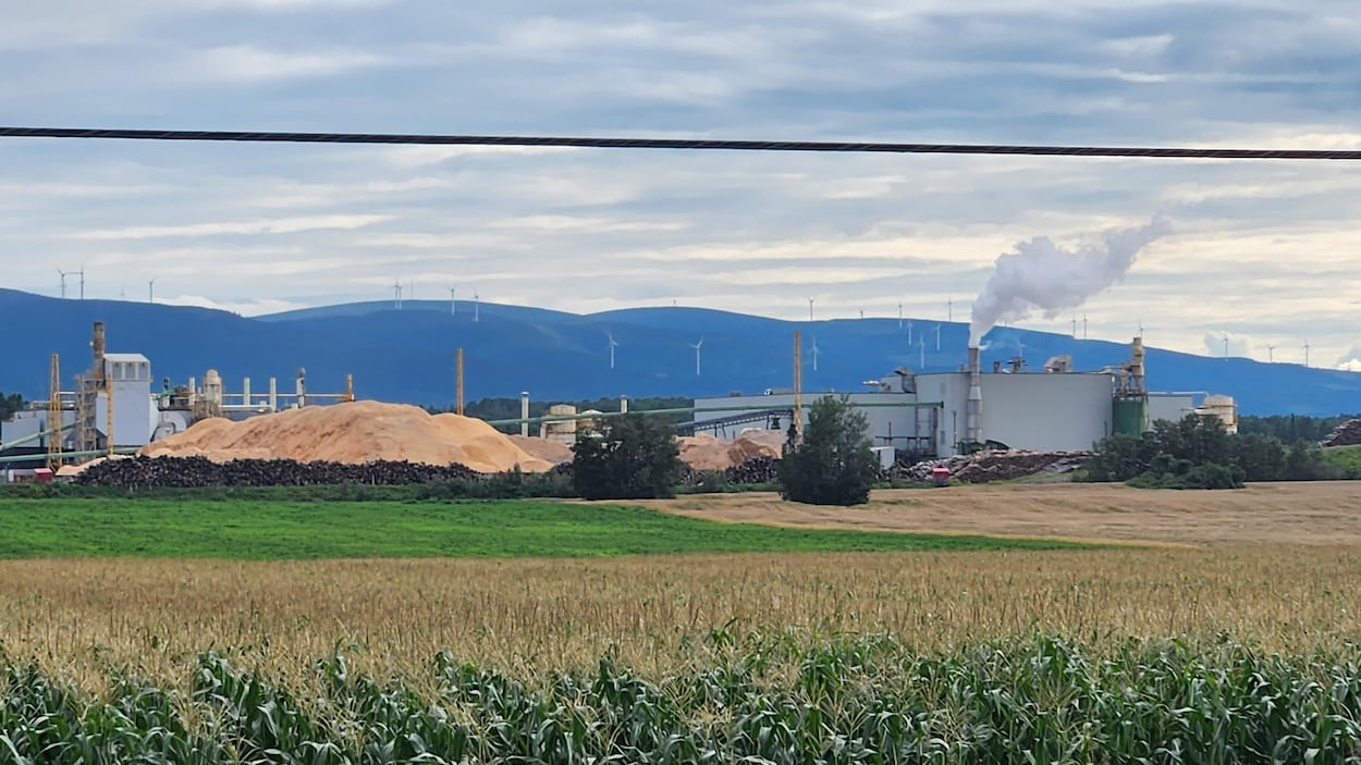 L’incendie causé par une explosion dans l’usine Uniboard de Sayabec est ...