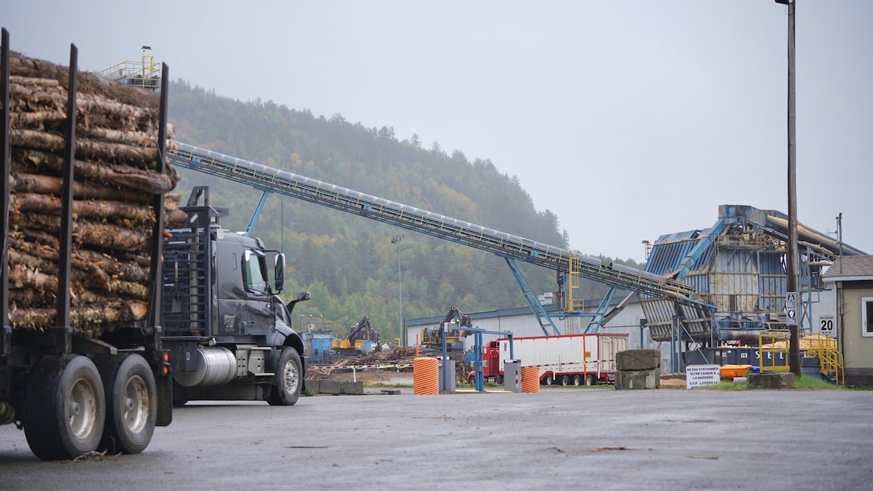 Scierie Rivière-aux-Rats : le maire de La Tuque déplore l’inaction de Québec | Radio-Canada