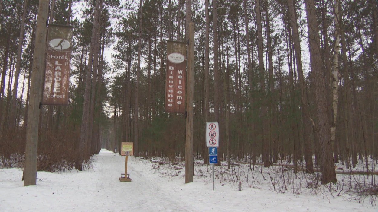 Des VTT endommagent des sentiers de ski de fond dans la forêt Larose ...