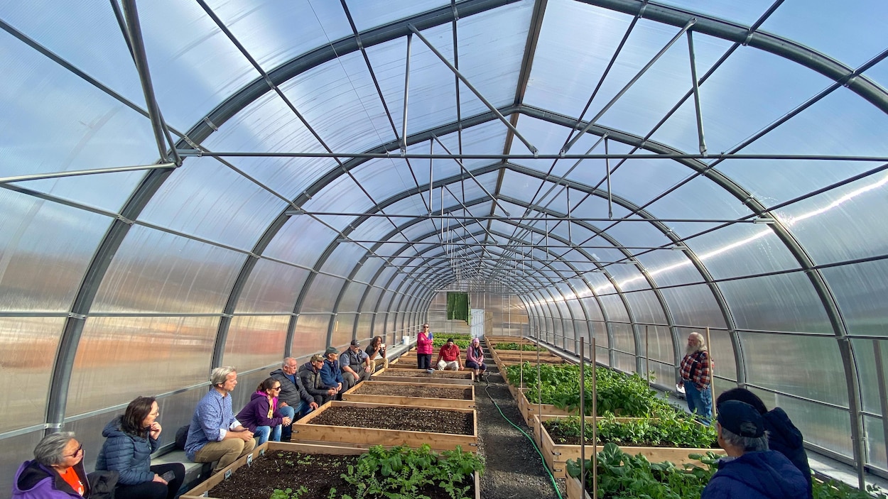 La serre la plus nordique du Québec construite à Salluit | Radio-Canada