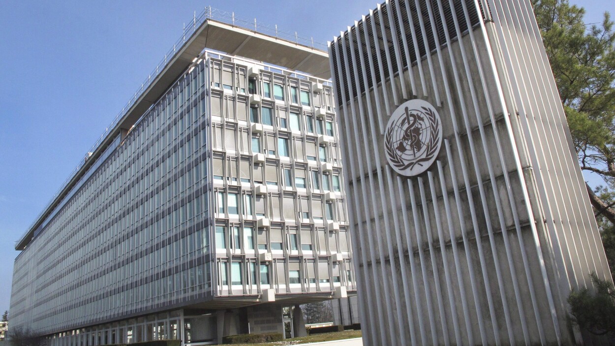 Retrait américain de l'OMS : la Chine offre 30 millions de dollars de ...