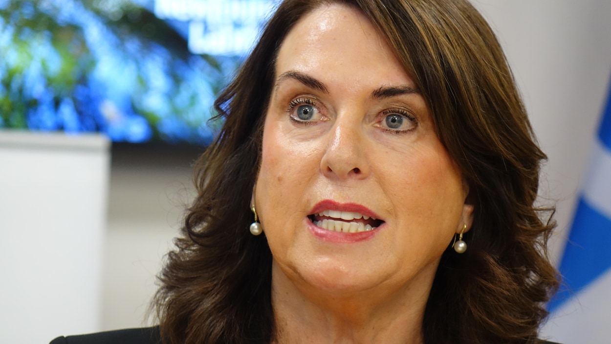 La vice-première ministre de T.-N.-L. tire un trait sur la politique ...